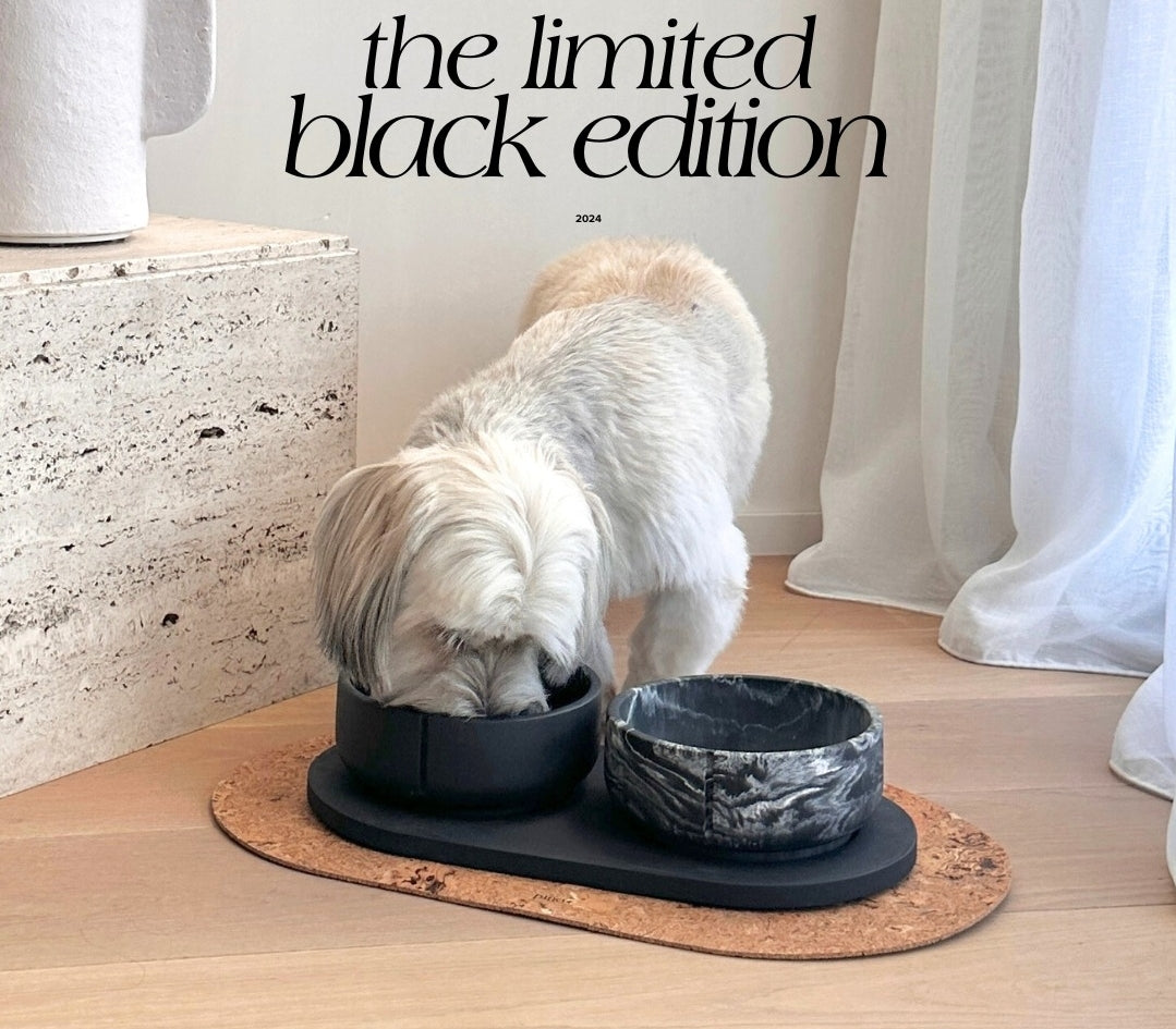 [SOLD OUT]Pino Pets Feeder Bowls - Limited Edition – Baobao PetShop