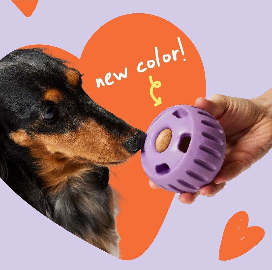 Woof The Pupsicle – Baobao PetShop