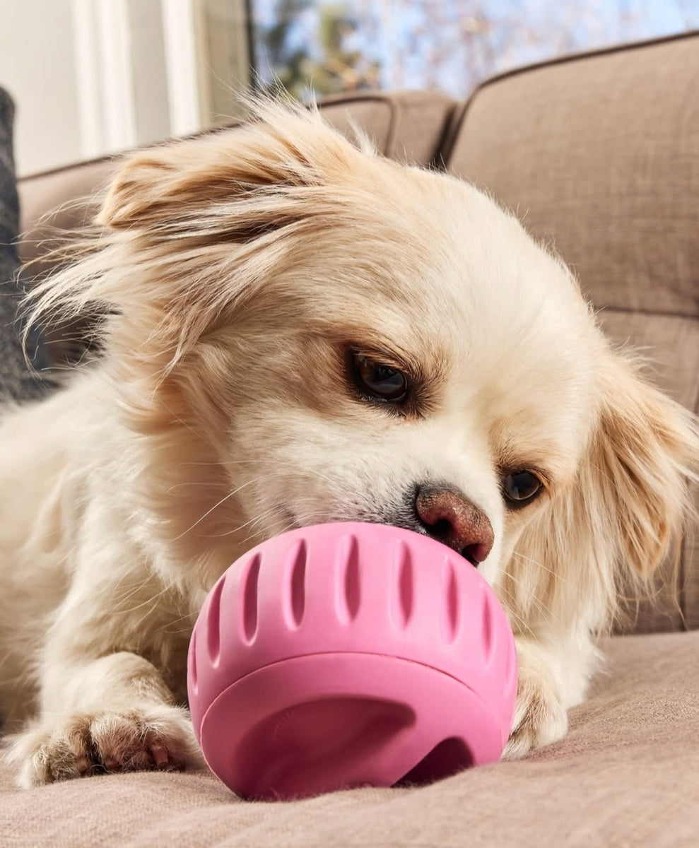 Woof - The Pupsicle – Baobao PetShop