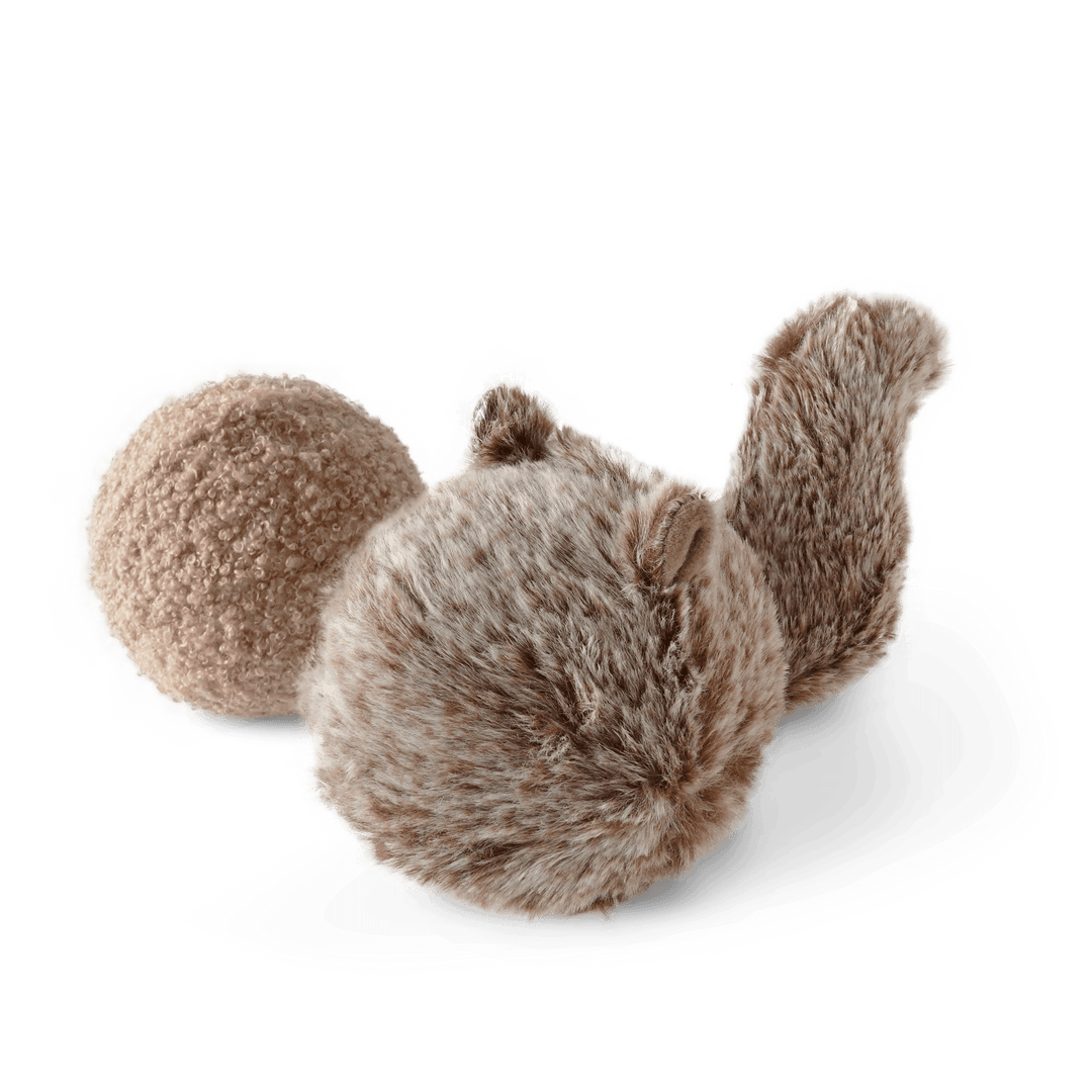 Squirrel Pop – Baobao PetShop